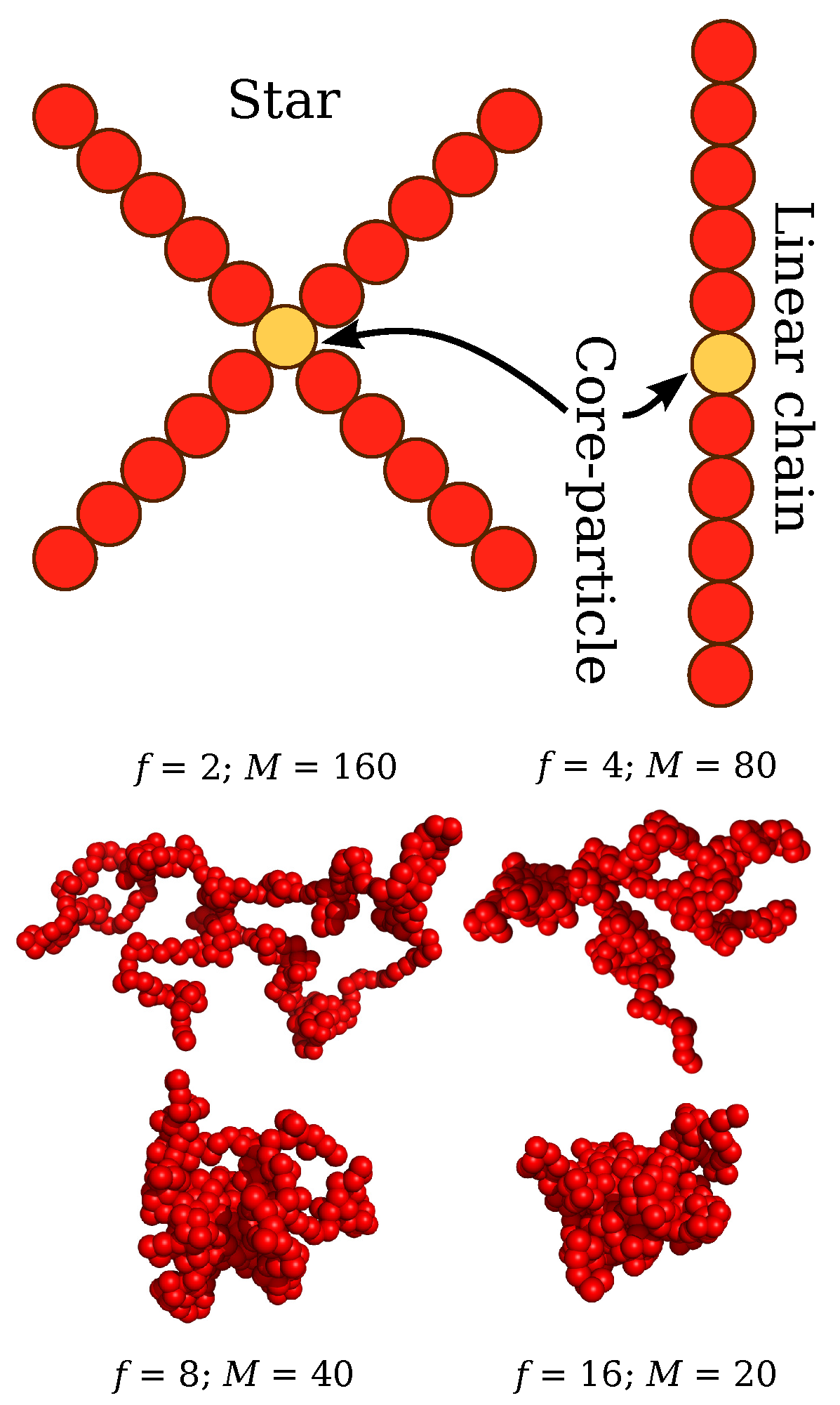 Linear Polymer Chains Linear Polymer Chains