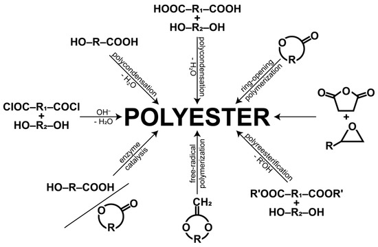 Polymers | Free Full-Text | Selectively Biodegradable Polyesters ...