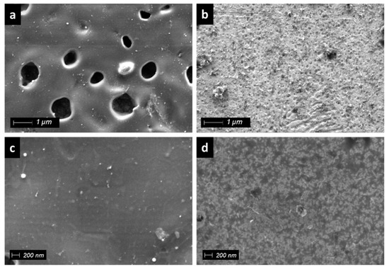 Extended 2,2′-Bipyrroles: New Monomers for Conjugated Polymers with ...