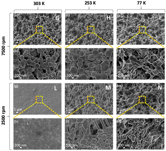 Phase Inversion in PVDF Films with Enhanced Piezoresponse Through Spin ...