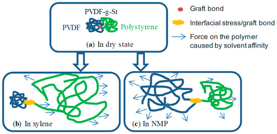 Polymers | Special Issue : Radiation Polymers