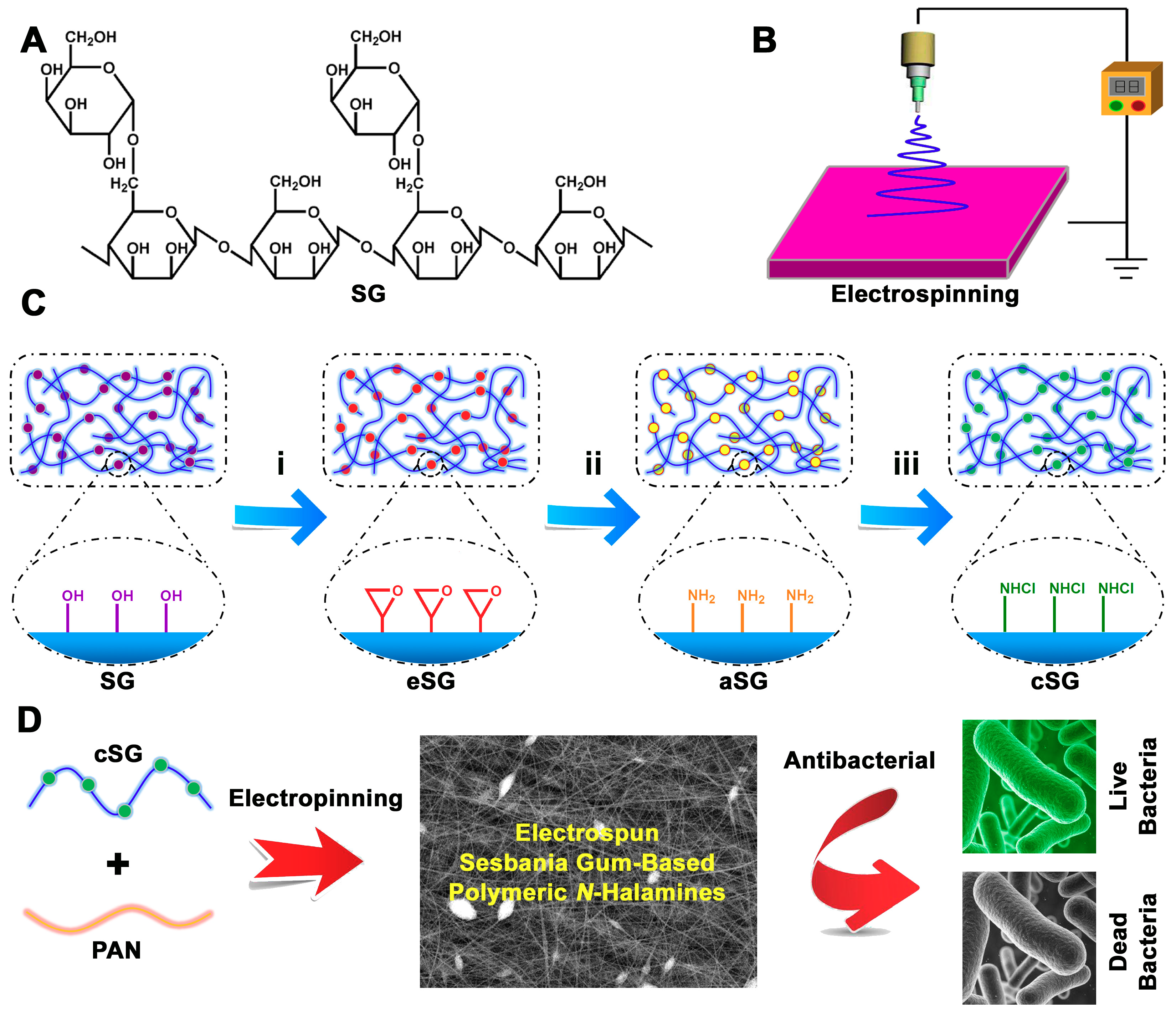 Polymers | Free Full-Text | Electrospun Sesbania Gum-Based Polymeric N ...