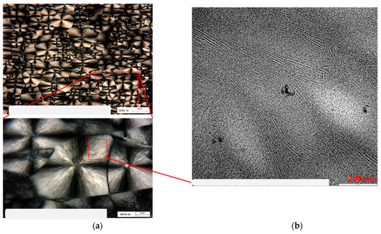 Poly (1-butene-ran-ethylene) Monomodal Copolymers from Metallocene ...