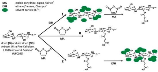 Cellulose Fibers Hydrophobization via a Hybrid Chemical Modification
