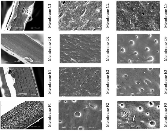Structure–Property Relationships of Pure Cellulose and GO/CEL Membranes ...