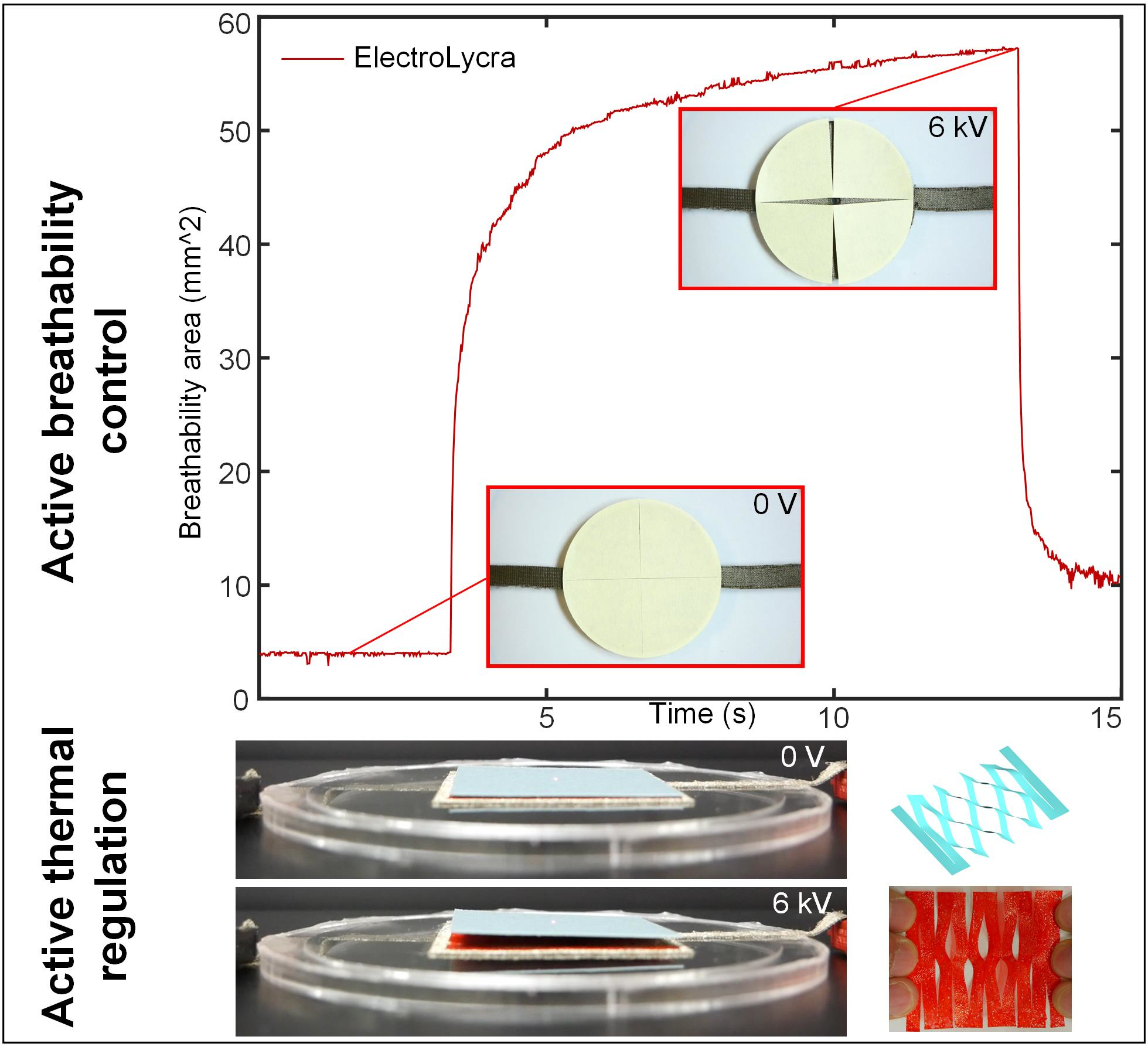 Polymers Free Full Text Electroactive Textile Actuators For