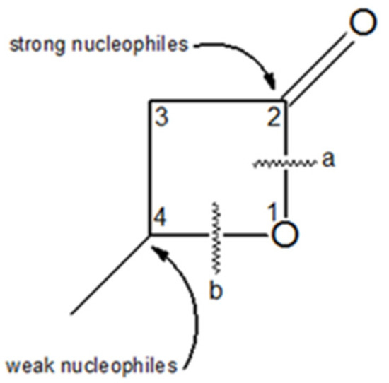 Anionic Polymerization of β-Butyrolactone Initiated with Sodium ...