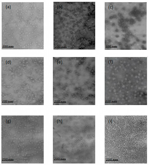 Adsorption of Vi Capsular Antigen of Salmonella Typhi in Chitosan–Poly ...