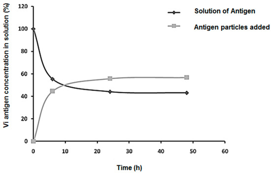 Adsorption of Vi Capsular Antigen of Salmonella Typhi in Chitosan–Poly ...