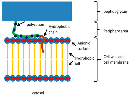 Polymers | Free Full-Text | Cationic Polymers with Tailored Structures ...