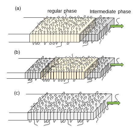 Polymers | Free Full-Text | Structural Evolution Mechanism of ...