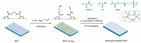 Hydrogel Functionalized Polyester Fabrics by UV-Induced Photopolymerization