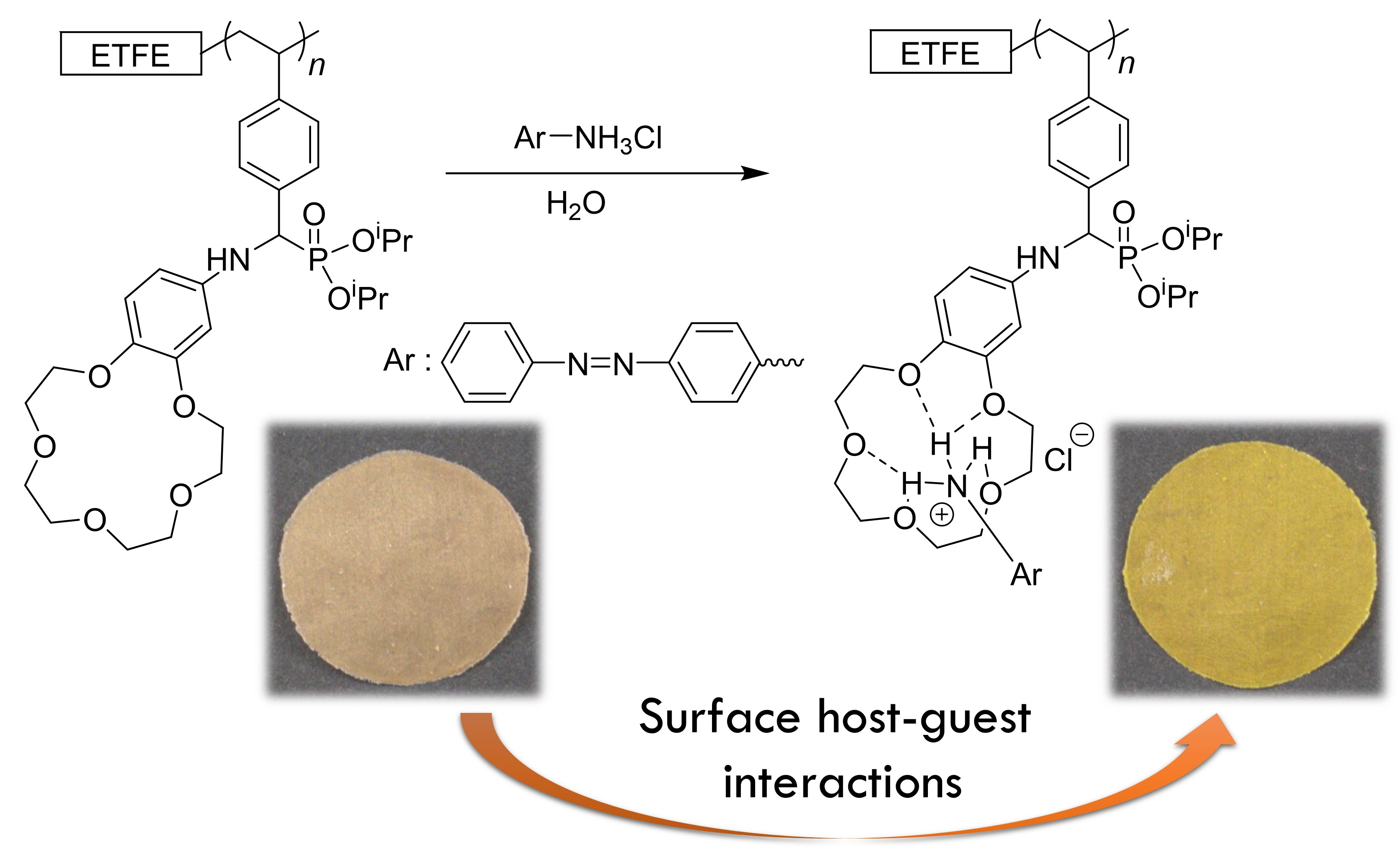 Polymers | Free Full-Text | Surface Engineering of Fluoropolymer Films via the Attachment of ...