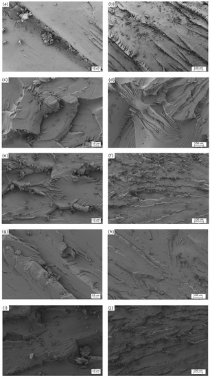 Optimization of the Curing and Post-Curing Conditions for the ...