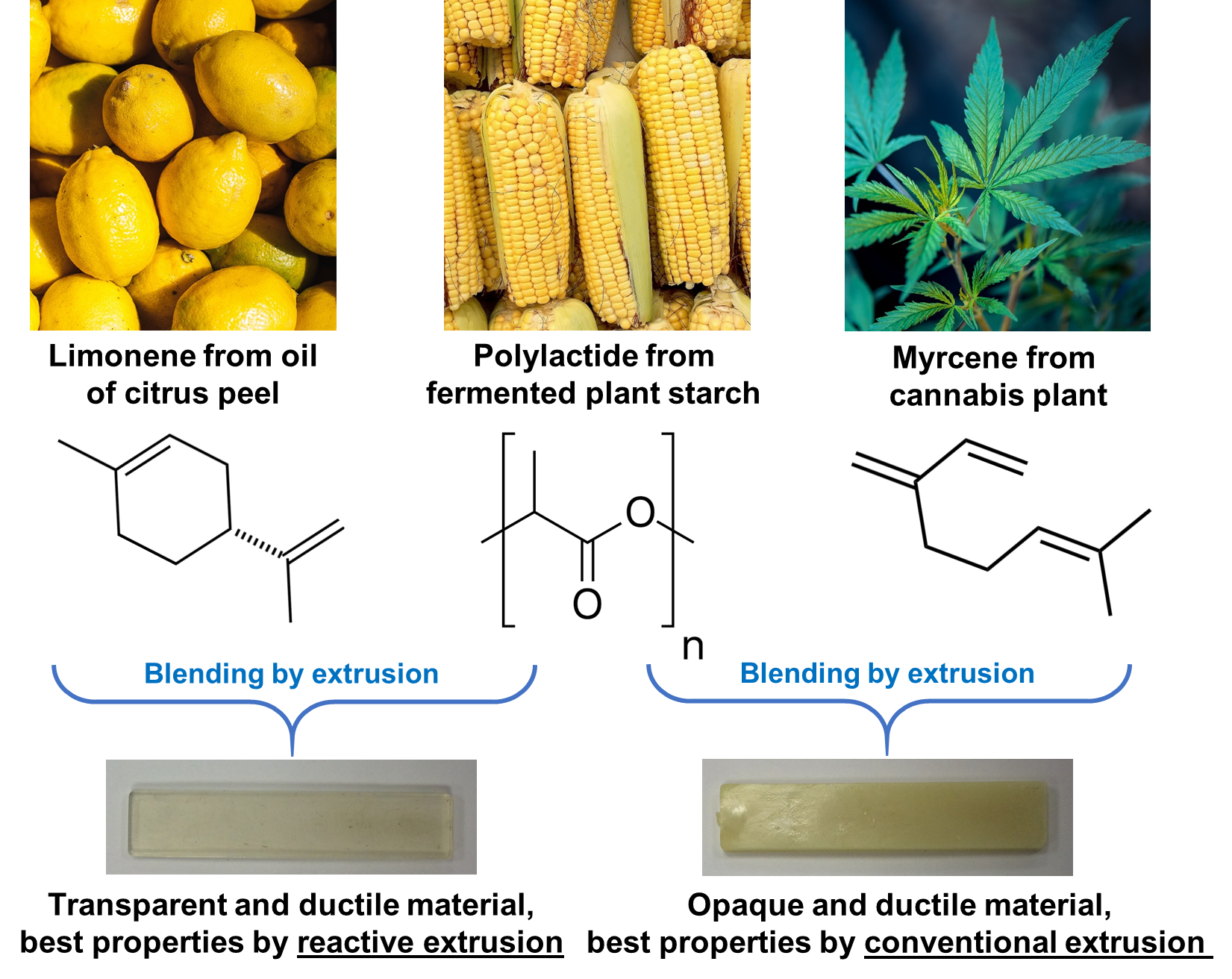 Polymers | Free Full-Text | Plasticization of Polylactide with Myrcene ...