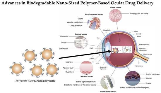 Polymers | Free Full-Text | Advances in Biodegradable Nano-Sized Polymer-Based Ocular Drug Delivery