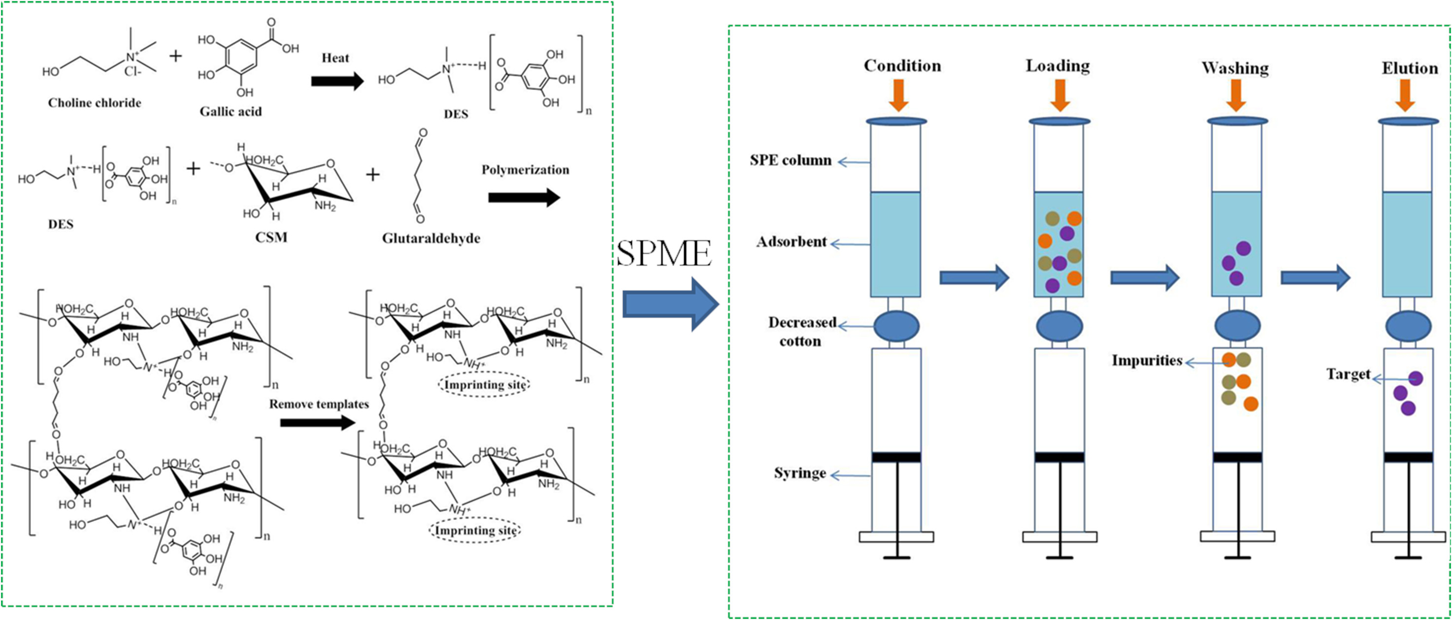 Polymers | Free Full-Text | Hydrophilic Molecularly Imprinted Chitosan ...
