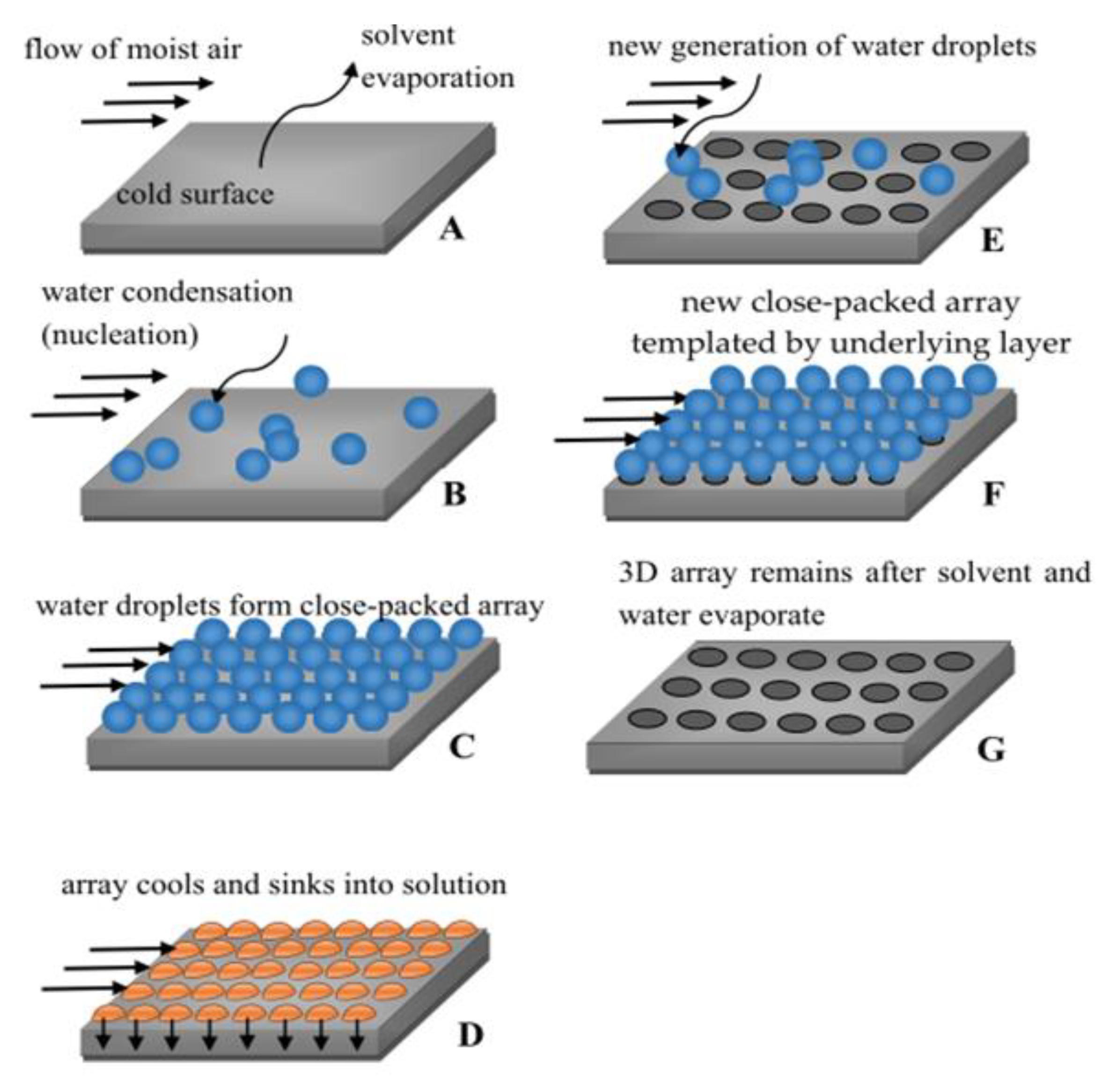 Polymers | Free Full-Text | In Search of a Green Process: Polymeric ...