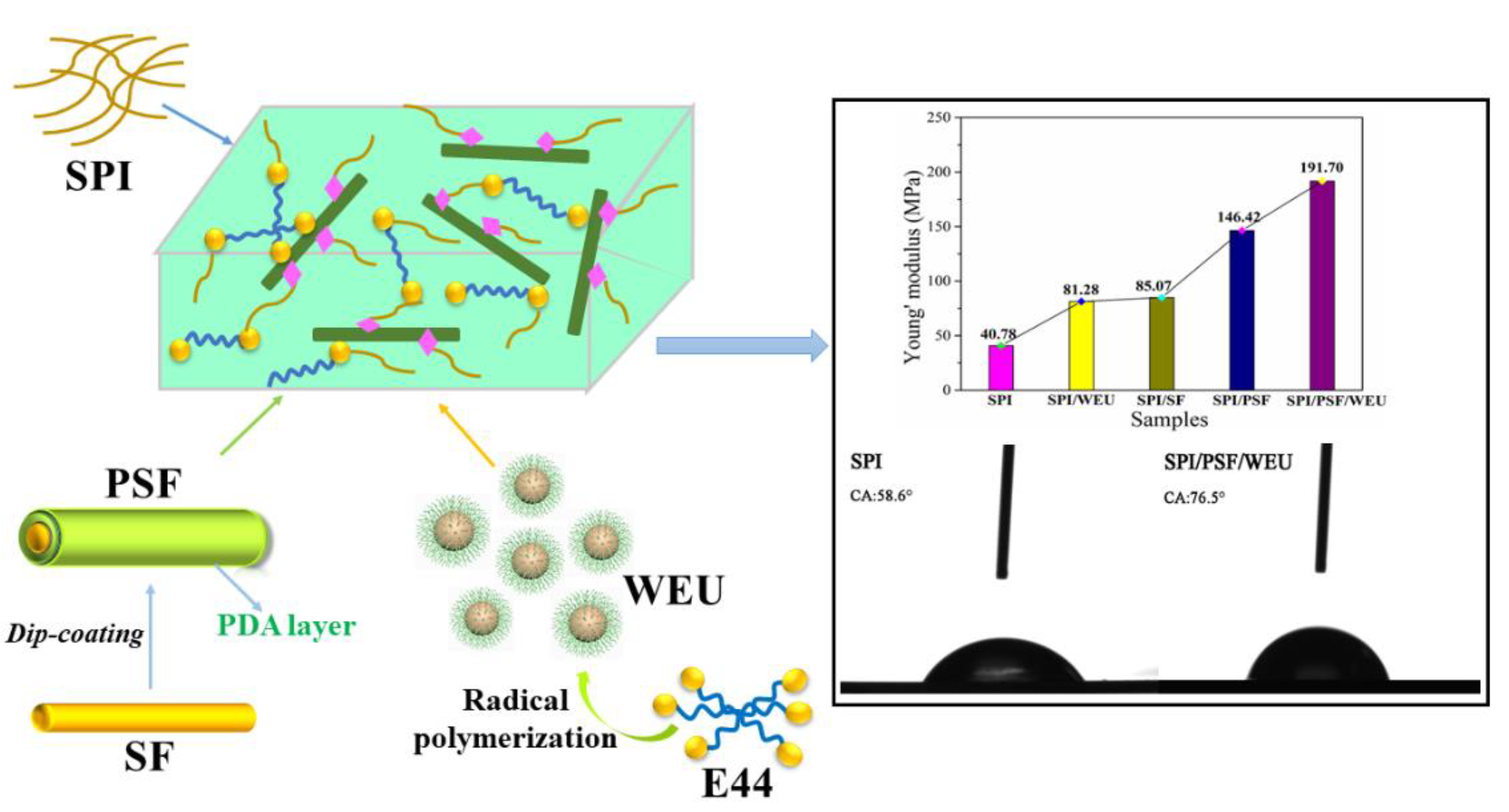 Polymers | Free Full-Text | High-Performance Soy Protein Isolate-Based Film Synergistically ...