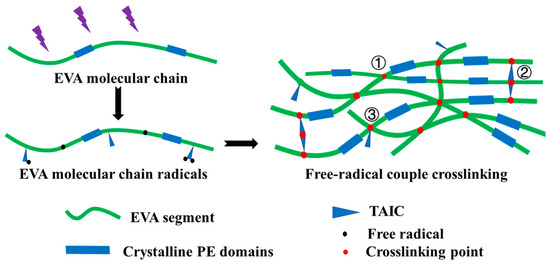 Polymers | Free Full-Text | Design of Ethylene-Vinyl Acetate Copolymer ...