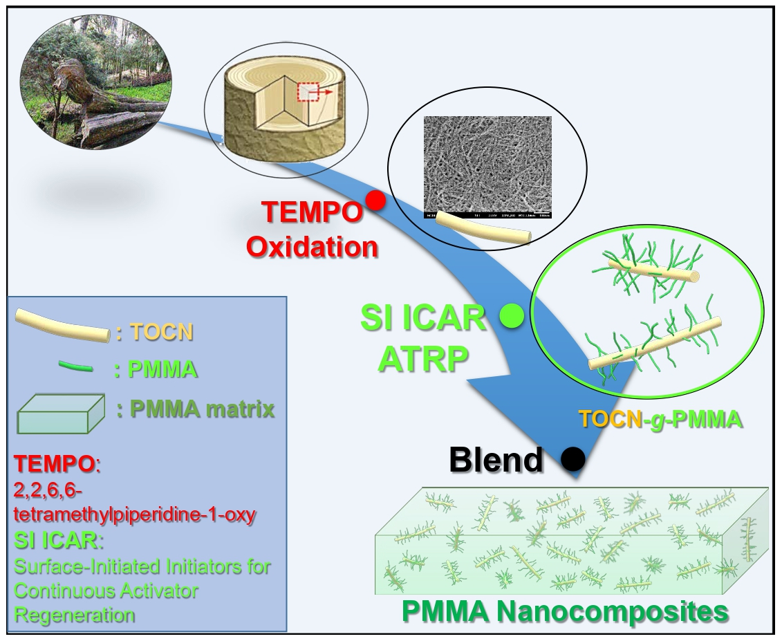 Polymers | Free Full-Text | Surface-Initiated Initiators for Continuous ...