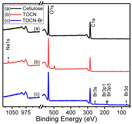 Surface-Initiated Initiators for Continuous Activator Regeneration (SI ...