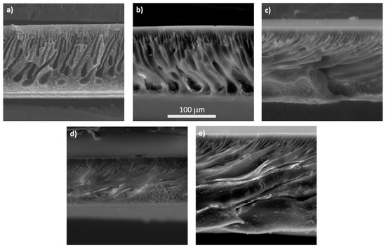 Polymers | Free Full-Text | Polymer Blends for Improved CO2 Capture ...