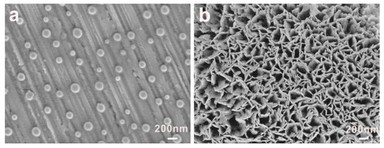 Crystallization and Temperature Driven Morphological Evolution of Bio ...