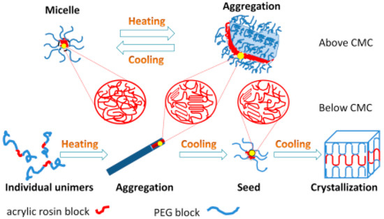 Crystallization and Temperature Driven Morphological Evolution of Bio ...