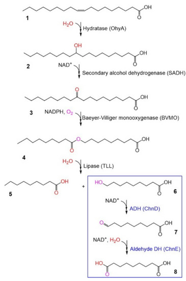 Multi-Step Enzymatic Synthesis of 1,9-Nonanedioic Acid from a Renewable ...
