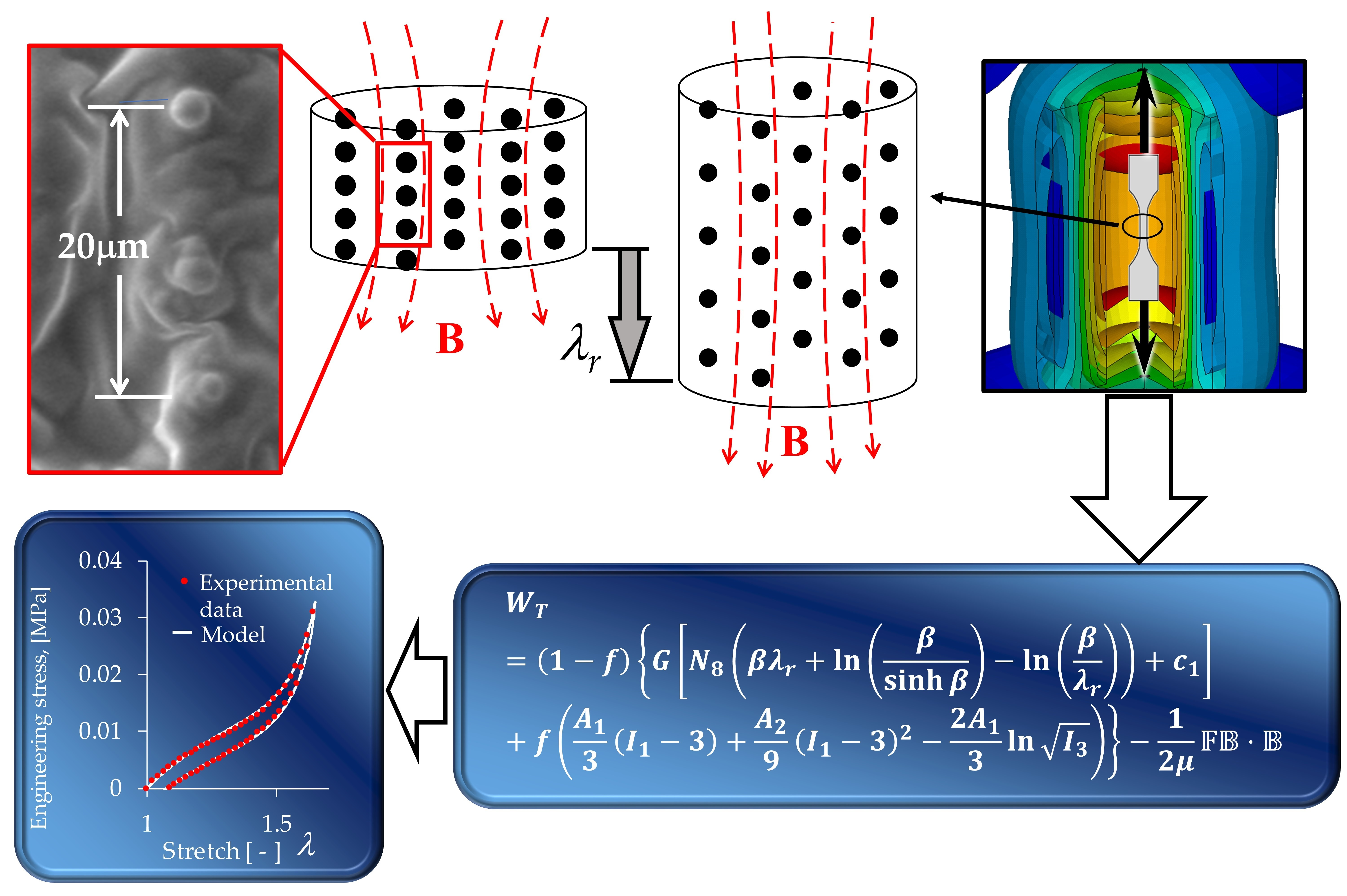 Polymers | Free Full-Text | Investigation of the Effect of Carbonyl ...