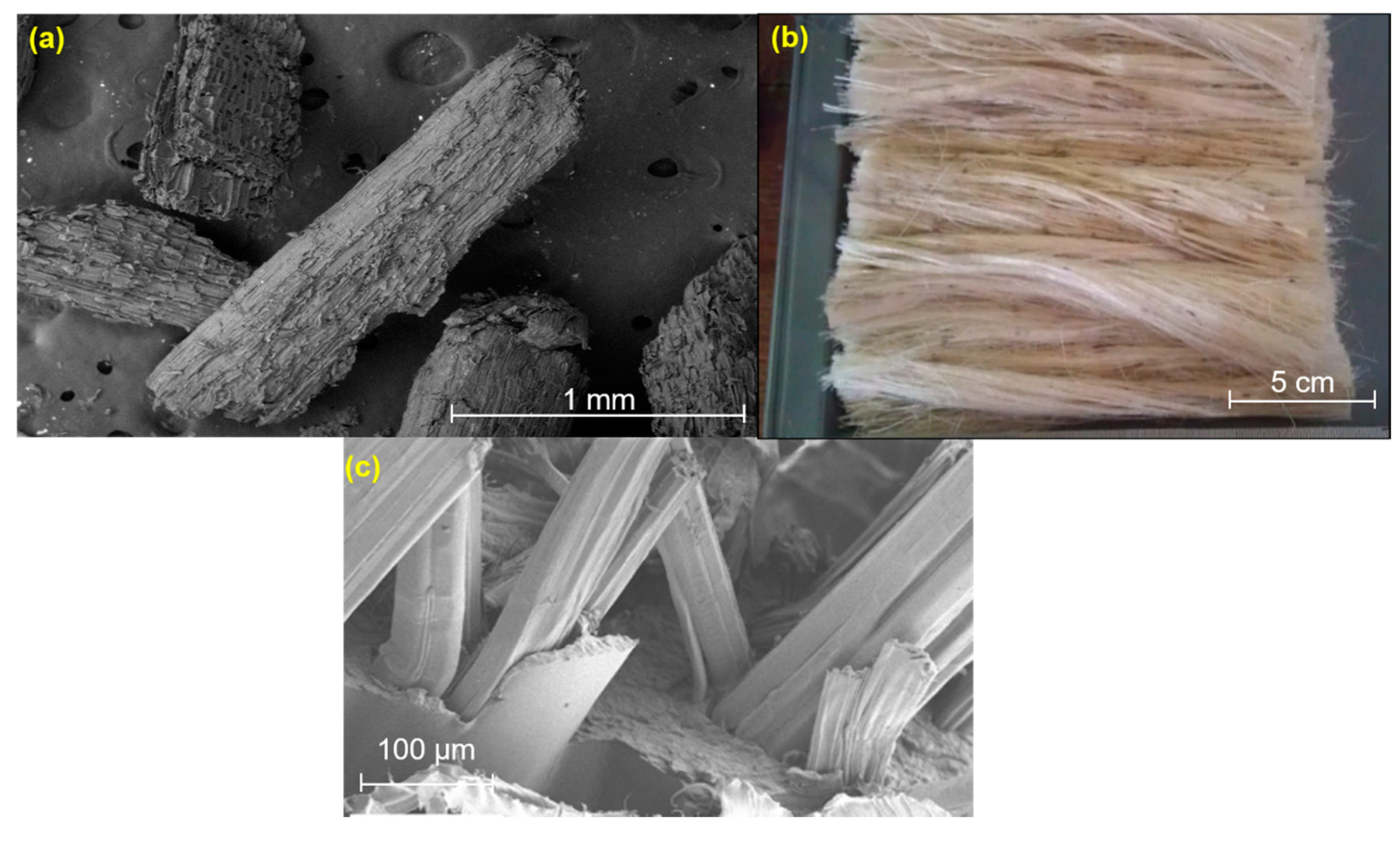 Kenaf Composites for Automotive Components: Enhancement in ...