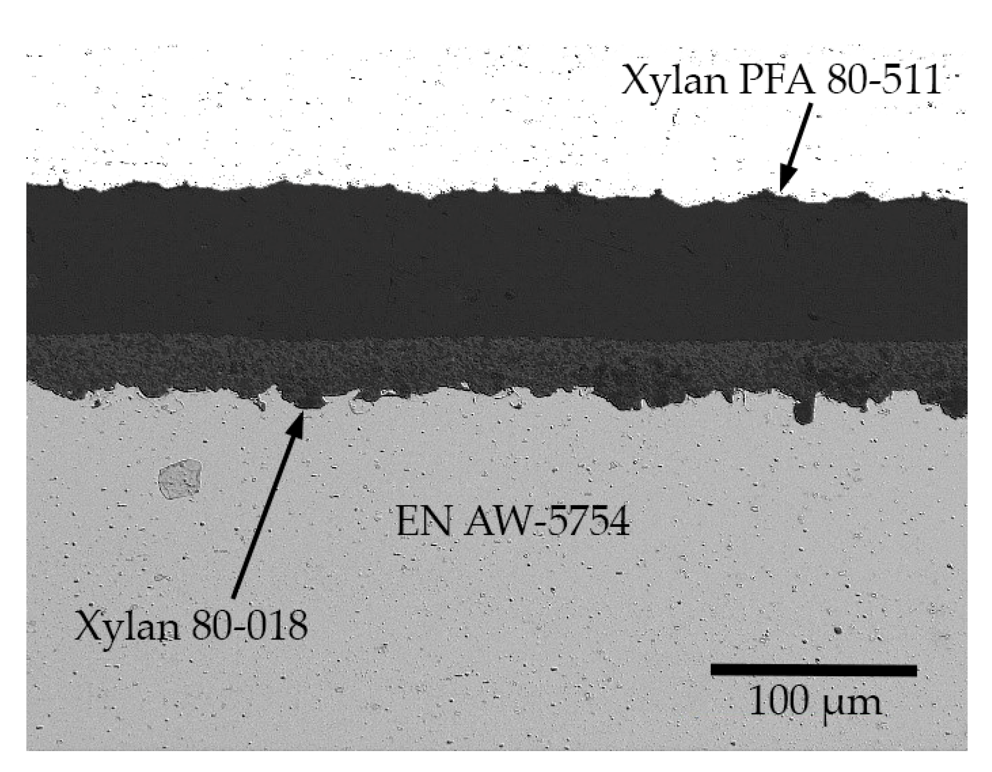 Stripping of PFA Fluoropolymer Coatings Using a Nd:YAG Laser (Q-Switch ...