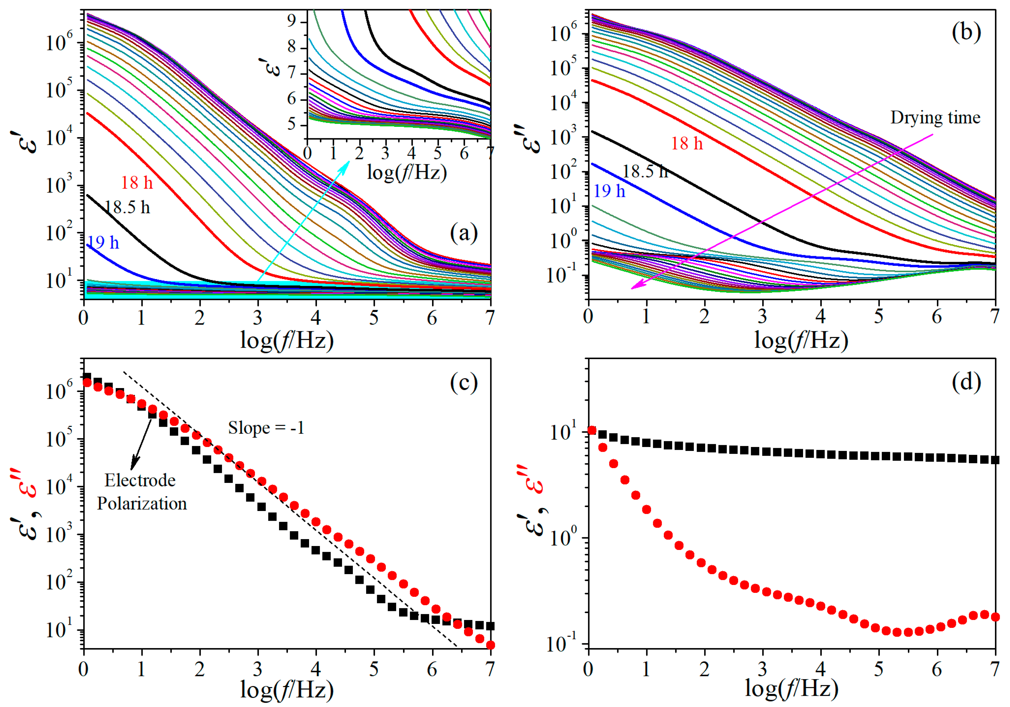 Evolution of Dielectric Behavior of Regenerated Cellulose Film during ...