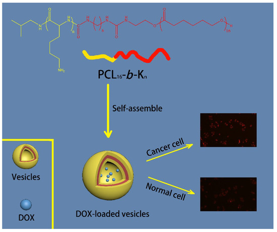 Polycaprolactone-Based Mimetic Antimicrobial Peptide Copolymers ...