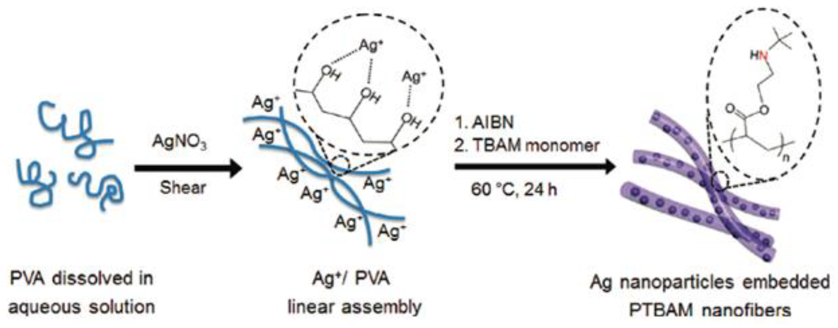 Combinations of Antimicrobial Polymers with Nanomaterials and ...