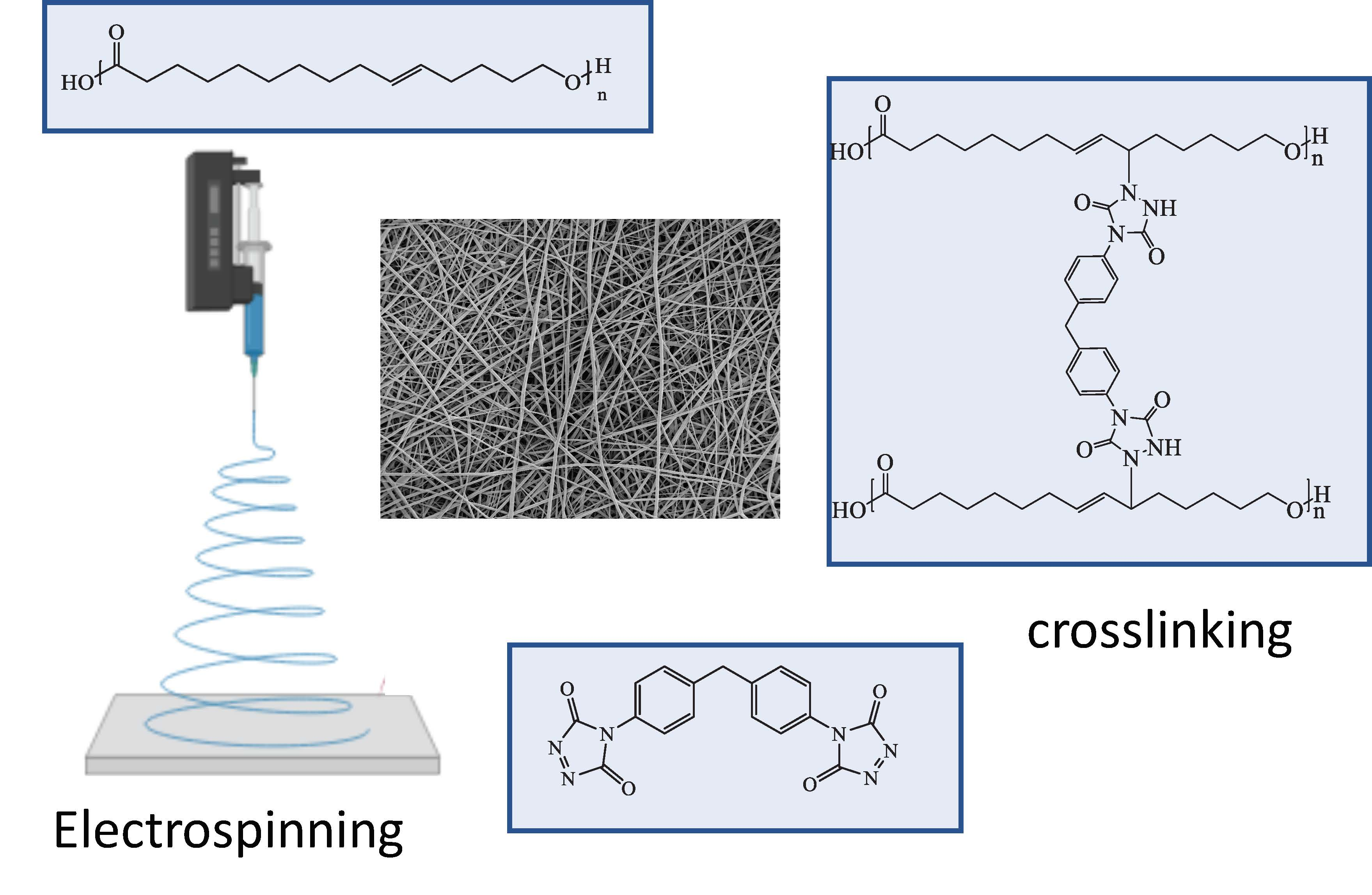 Polymers | Free Full-Text | Crosslinking of Electrospun Fibres from ...