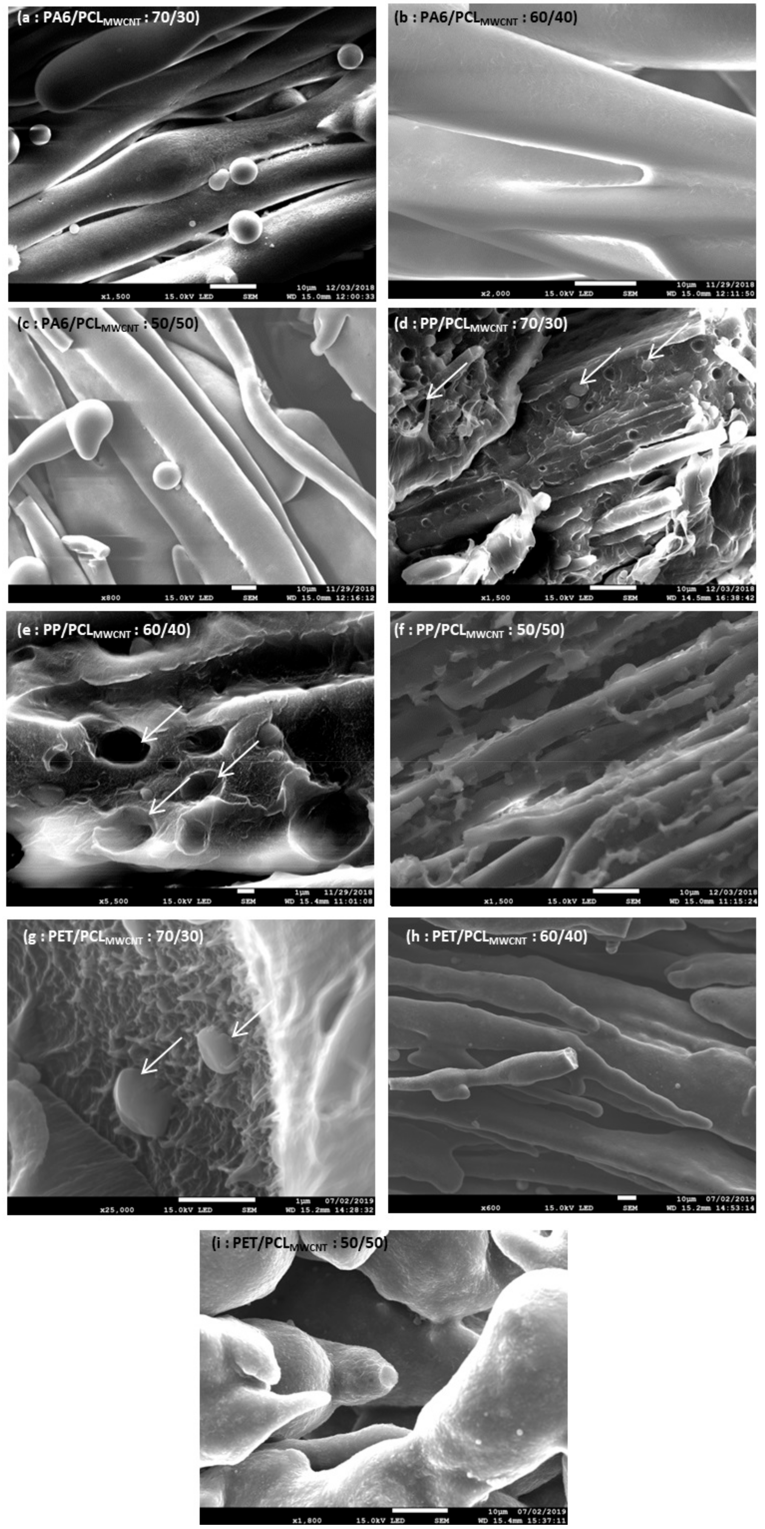 Selection of Immiscible Polymer Blends Filled with Carbon Nanotubes for ...