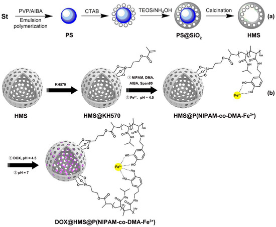 Core-Shell Structure Design of Hollow Mesoporous Silica Nanospheres ...