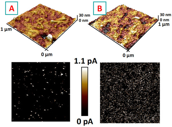 Flexible Conductive Polymer Film Grafted with Azo-Moieties and ...