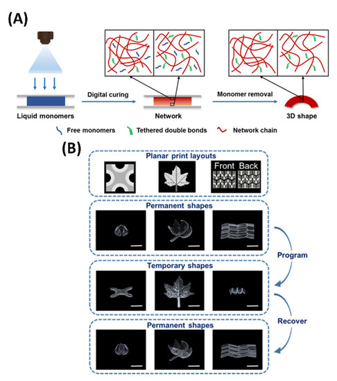 Review of Polymeric Materials in 4D Printing Biomedical Applications