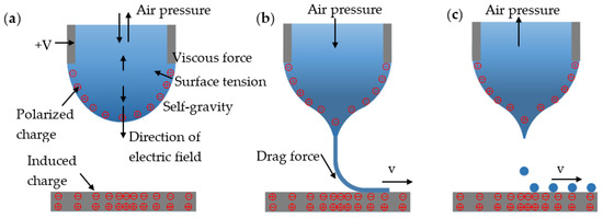 Polymers | Free Full-Text | Fabrication of a Large-Area, Fused Polymer ...