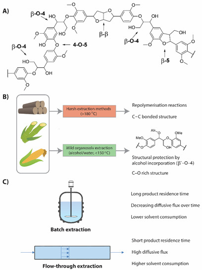 Efficient Mild Organosolv Lignin Extraction in a Flow-Through Setup ...
