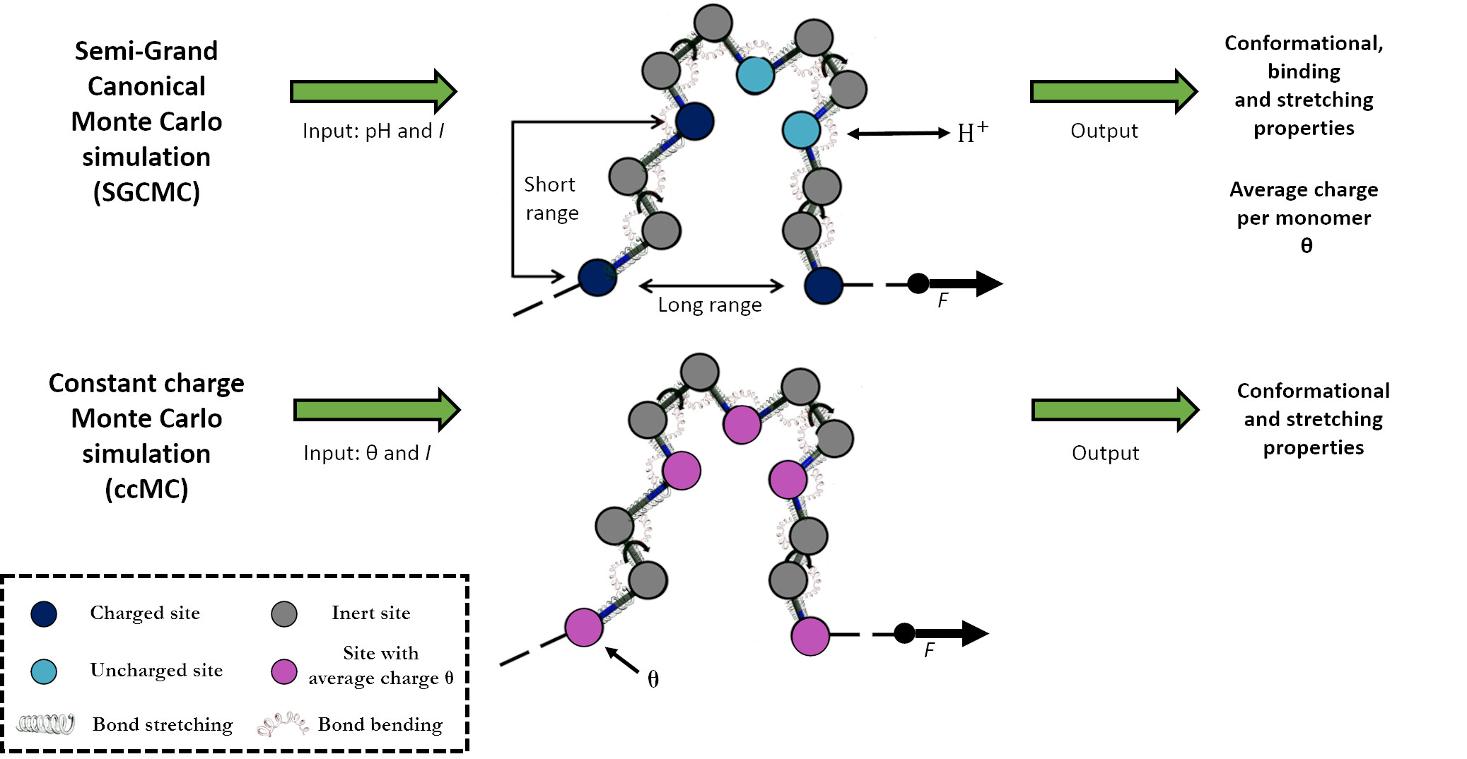 Polymers | Free Full-Text | Role of Charge Regulation and Fluctuations ...