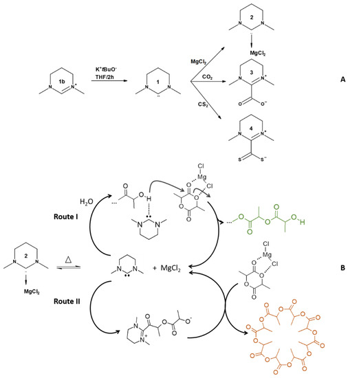 Reactive Extrusion and Magnesium (II) N-Heterocyclic Carbene Catalyst ...