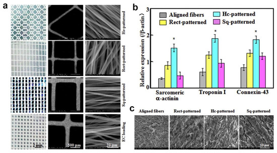 Core–Shell Fibers: Design, Roles, and Controllable Release Strategies ...