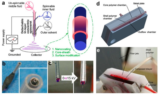 Core–Shell Fibers: Design, Roles, and Controllable Release Strategies ...