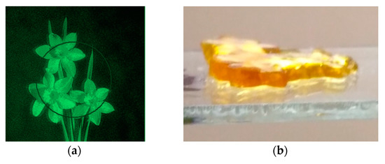 Application of Photopolymer Materials in Holographic Technologies