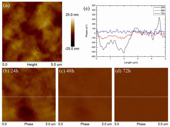Study on Micro Interfacial Charge Motion of Polyethylene Nanocomposite Based on Electrostatic ...