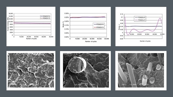 Polymers | Free Full-Text | Physico-Mechanical Properties of the Poly ...